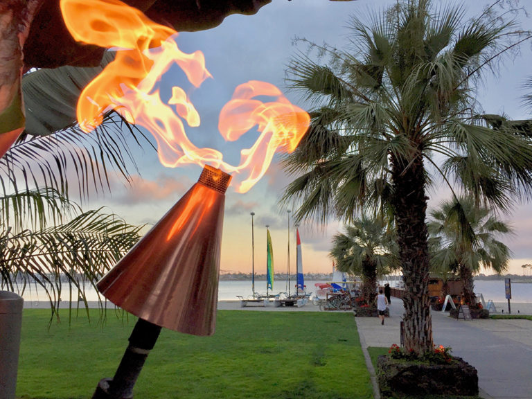 Quelle est l’utilité des torches flambeaux au cours d’un évènement