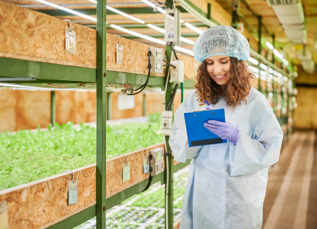 Qu'est-ce qu'une fleur de cbd greenhouse